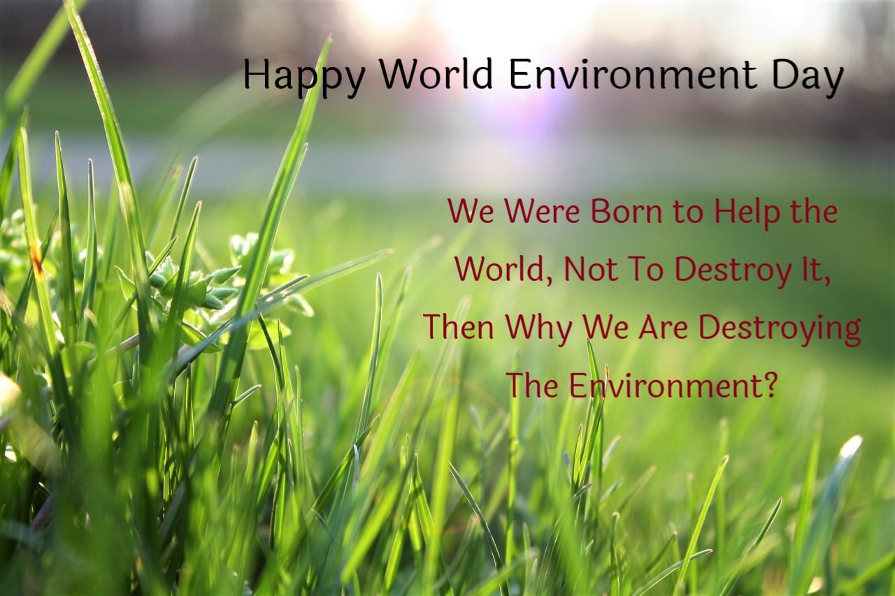 World Environment Day quotes, messages, whatsapp status, wishes and ...